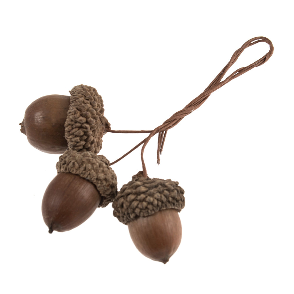 Natural Acorn Picks | Bunch of 9 on Wires | Wreath Making & Floristry ...