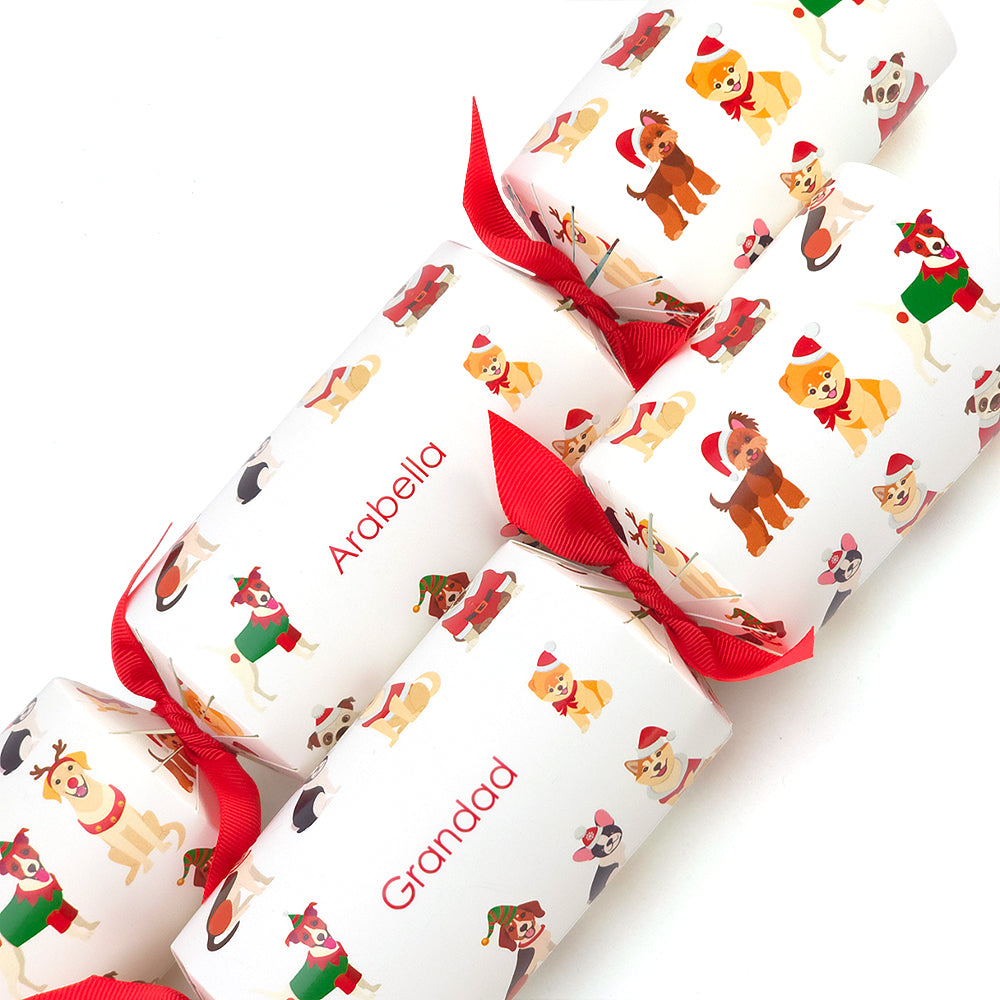Personalised Cracker Making Craft Kit | Christmas Dogs | Makes 4 or 6 ...